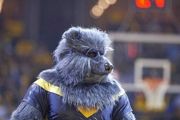 What is Grizz Mascot's Salary?
