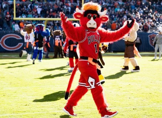 Who is the Chicago Bulls' mascot, Benny the Bull?