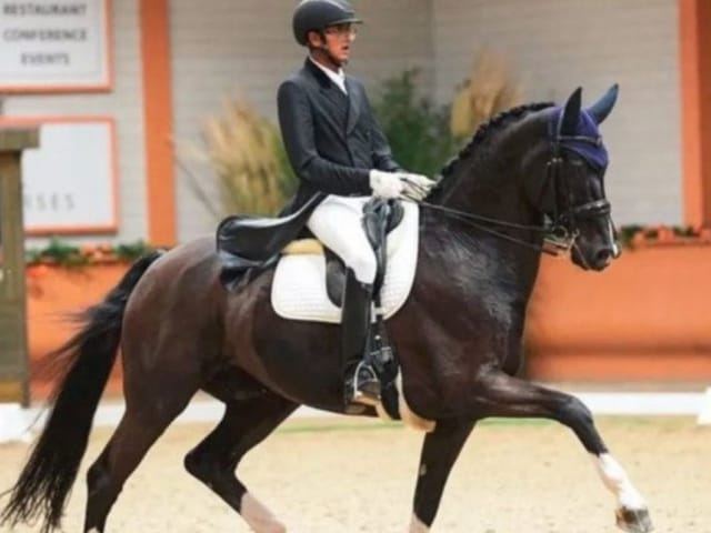 Indian Equestrian team bags historic gold in dressage in 41 years at ...
