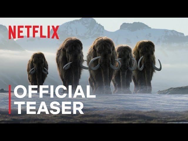 Life on Our Planet on Netflix: Release date, trailer, and more