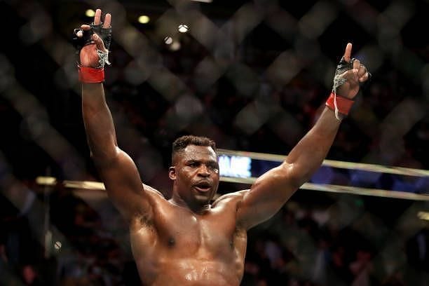 How many times has Francis Ngannou lost?