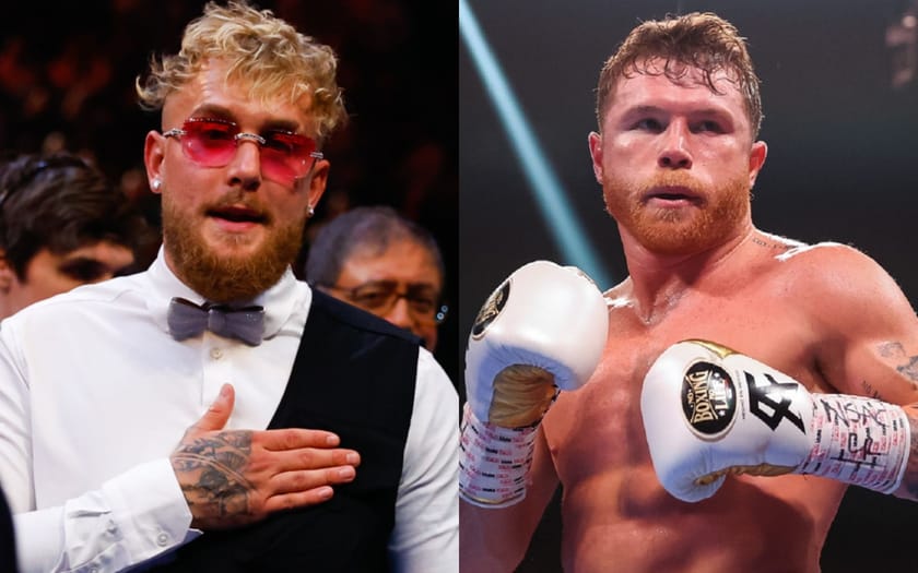 Jake Paul vs. Canelo Alvarez: UFC legend's priceless one-word reaction ...