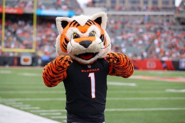 What is Cincinnati Bengals mascot Who Dey's salary?