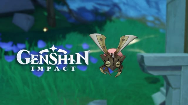 Genshin Impact Subdetection Unit routes and locations on map