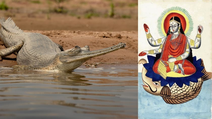 5 concept Pokemon inspired by Indian folklore