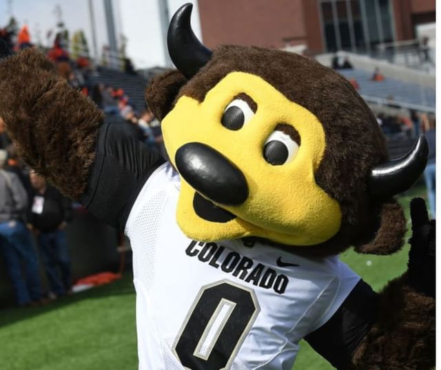 True Colorado fan 'Chip the Buffalo' shows off disappointment in empty ...