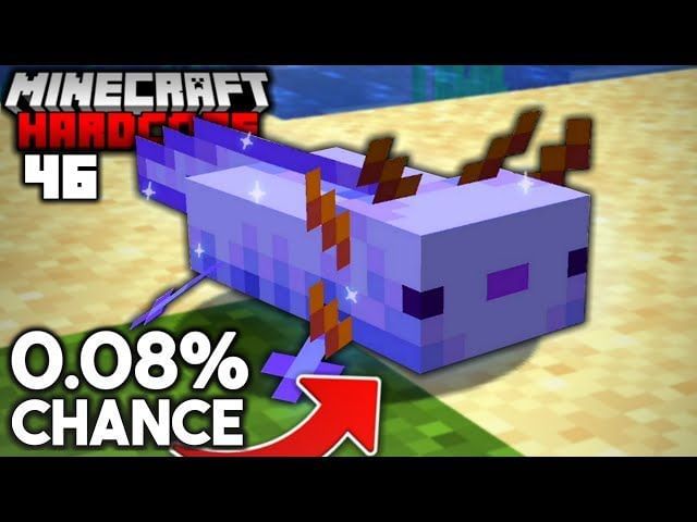 Minecraft rarest axolotl guide