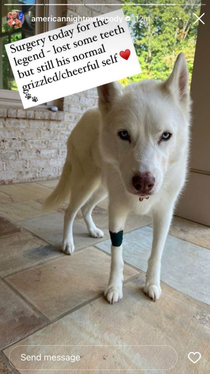 Cody Rhodes reveals popular family member recently required surgery