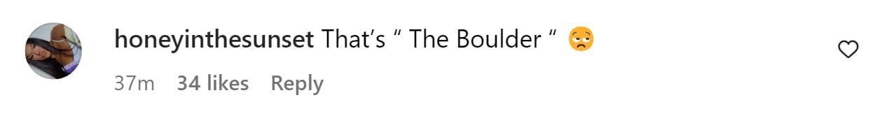 "He look like Mr Clean": Dwayne The Rock Johnson wax figure goes ...