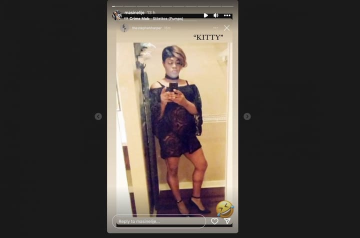 Stephen Harper posts alleged pic of star witness 'Kitty' in Dwight ...