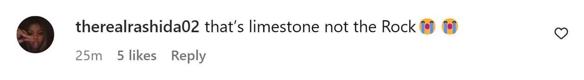 "He look like Mr Clean": Dwayne The Rock Johnson wax figure goes ...