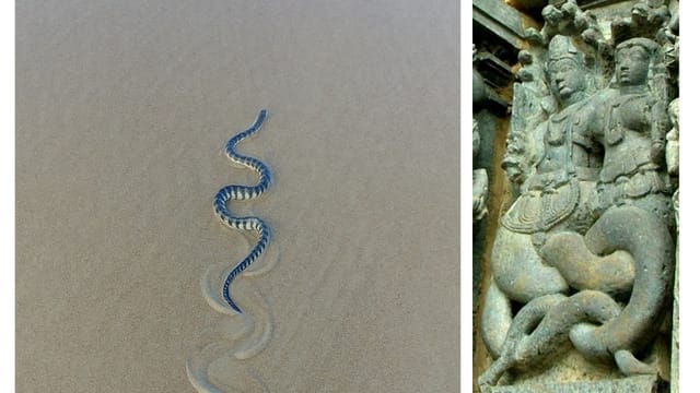 5 concept Pokemon inspired by Indian folklore