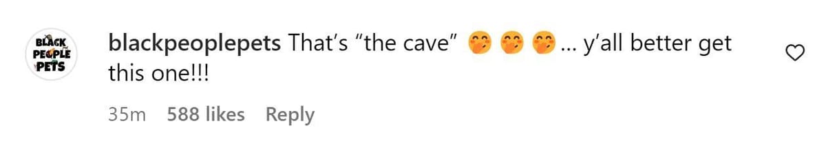 "He look like Mr Clean": Dwayne The Rock Johnson wax figure goes ...