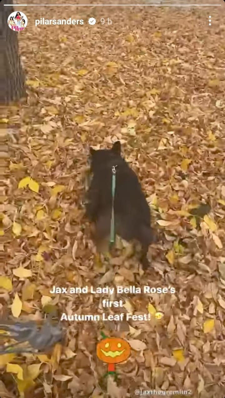 Watch: Deion Sanders ex-wife Pilar Sanders takes a serene walk amidst ...