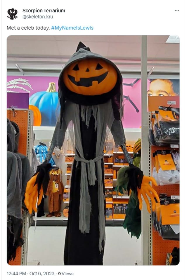 Target: What is Lewis? Where to buy, price, and all about the viral ...