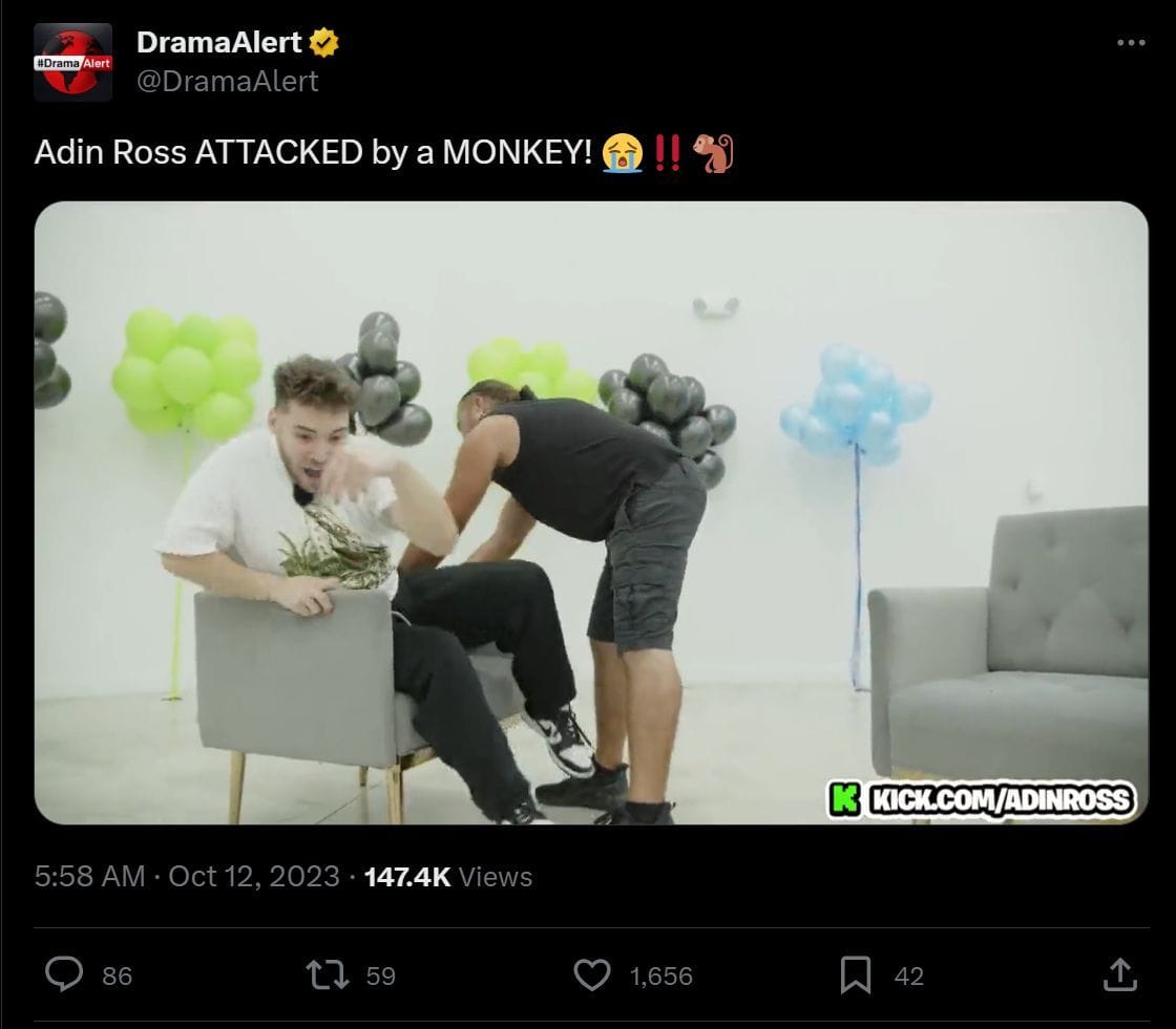"He was mad at me" - Adin Ross squeals in fear after monkey bites him ...