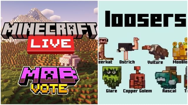 Minecraft player lists all the losers from older mob votes