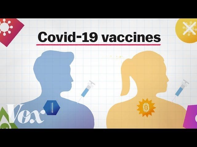 Did US FDA authorize Novavax COVID-19 shots? Properties of updated ...