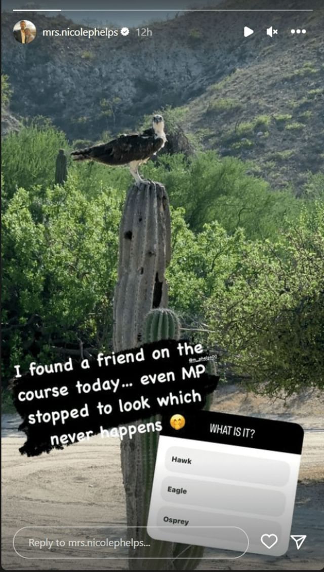 “Even Michael phelps stopped to look which never happens” -Swimming ...