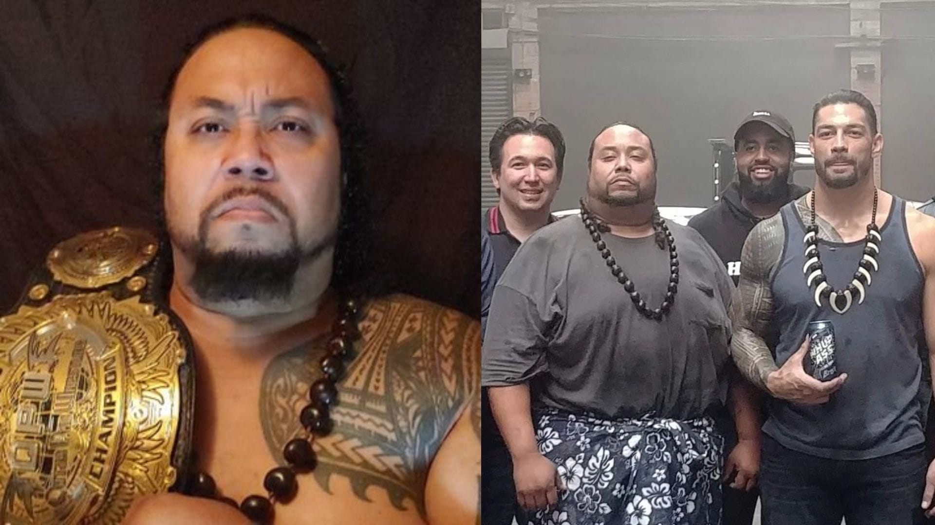 The Anoa'i Family Tree | Samoan WWE Wrestlers