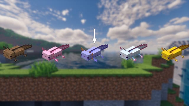Minecraft rarest axolotl guide