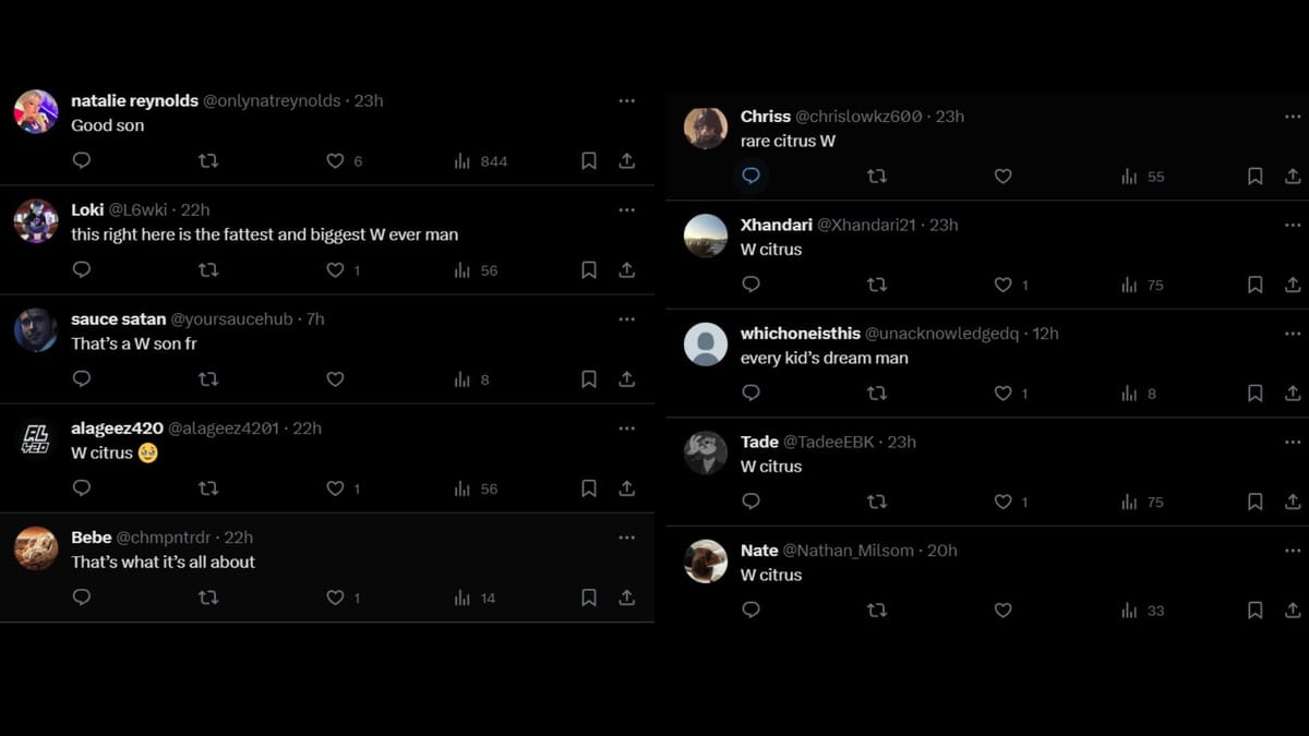 "Making his mama and papa cry" - Kick streamer Citrus garners praise ...