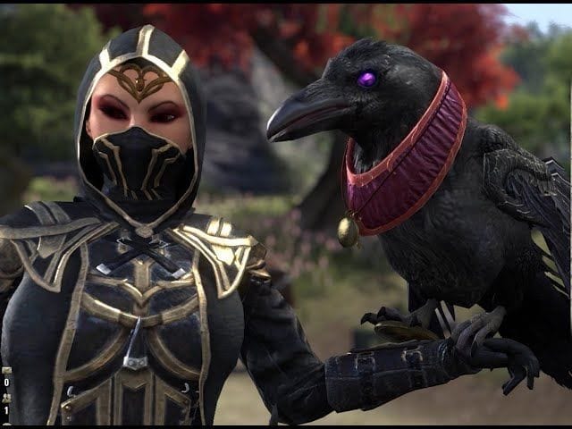 All The Elder Scrolls Online Assistants explained