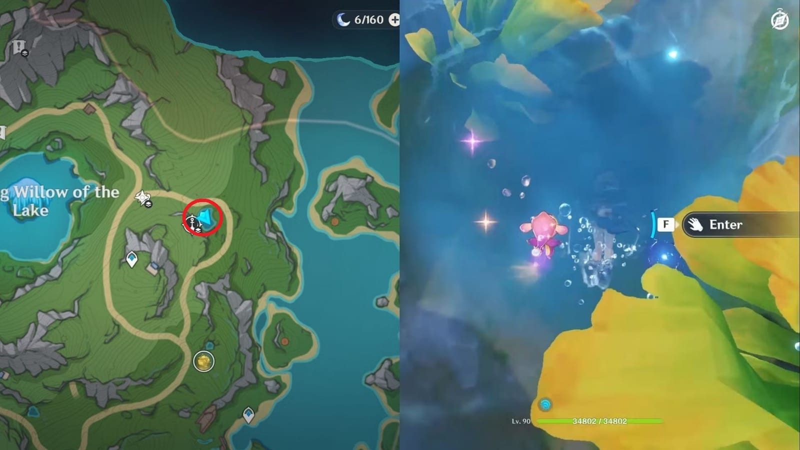 Foggy Forest Branch locations in Genshin Impact