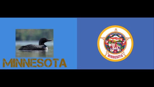 Why is Minnesota getting a new flag? Hilarious state flag submissions ...