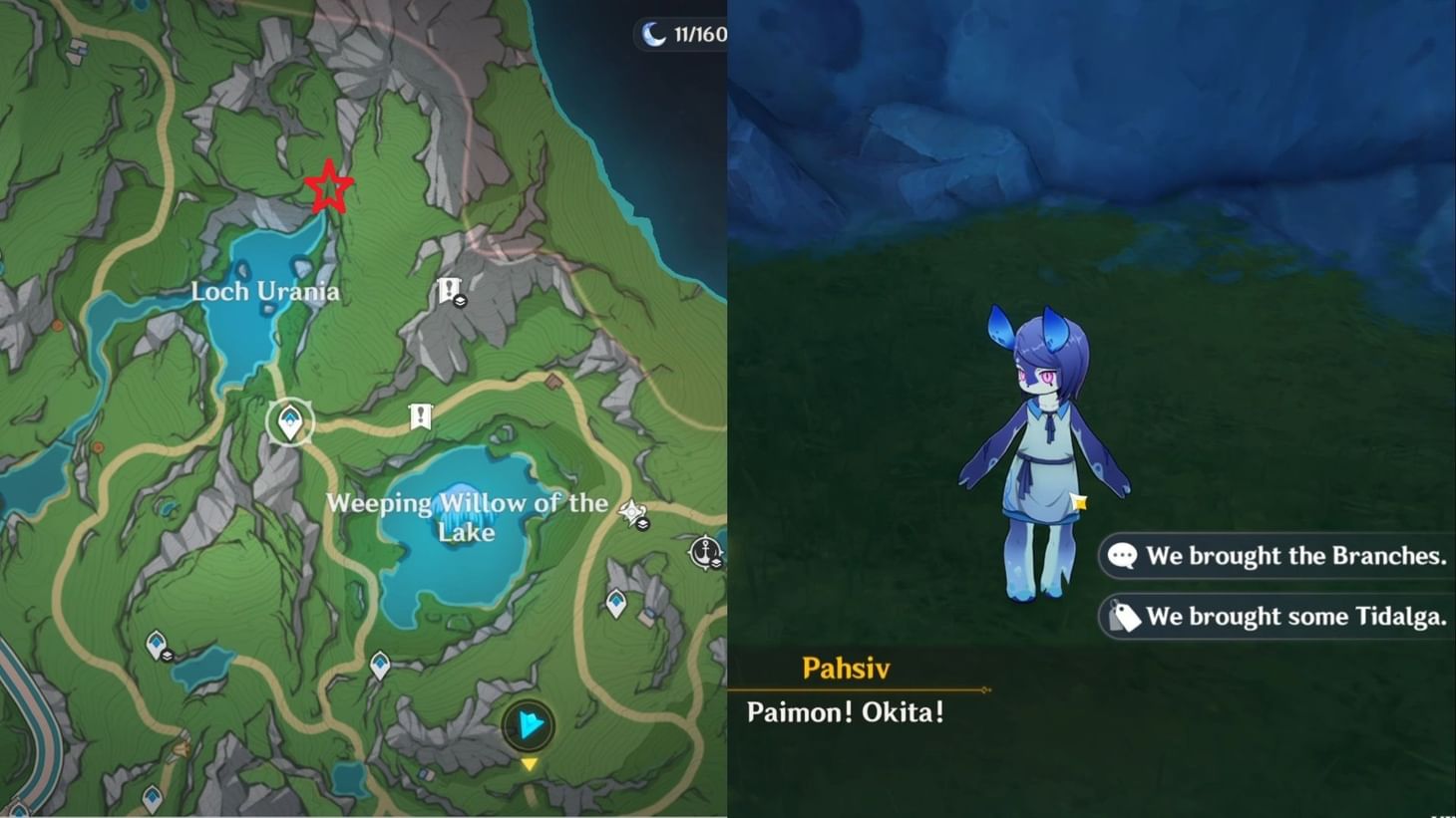 Foggy Forest Branch locations in Genshin Impact