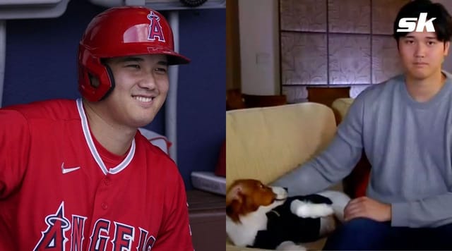 MLB fans in awe of Shohei Ohtani's dog as a pet's high-five steals the ...