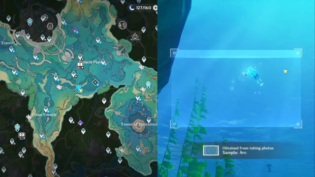 Locations of Basically Blue Wild Creatures in Genshin Impact