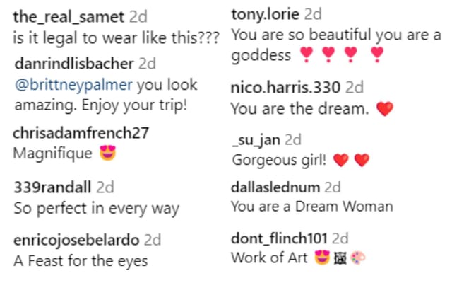 Brittney Palmer photos: "Work of Art" - Brittney Palmer wows fans in ...