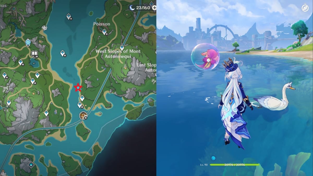 Locations of Basically Blue Wild Creatures in Genshin Impact