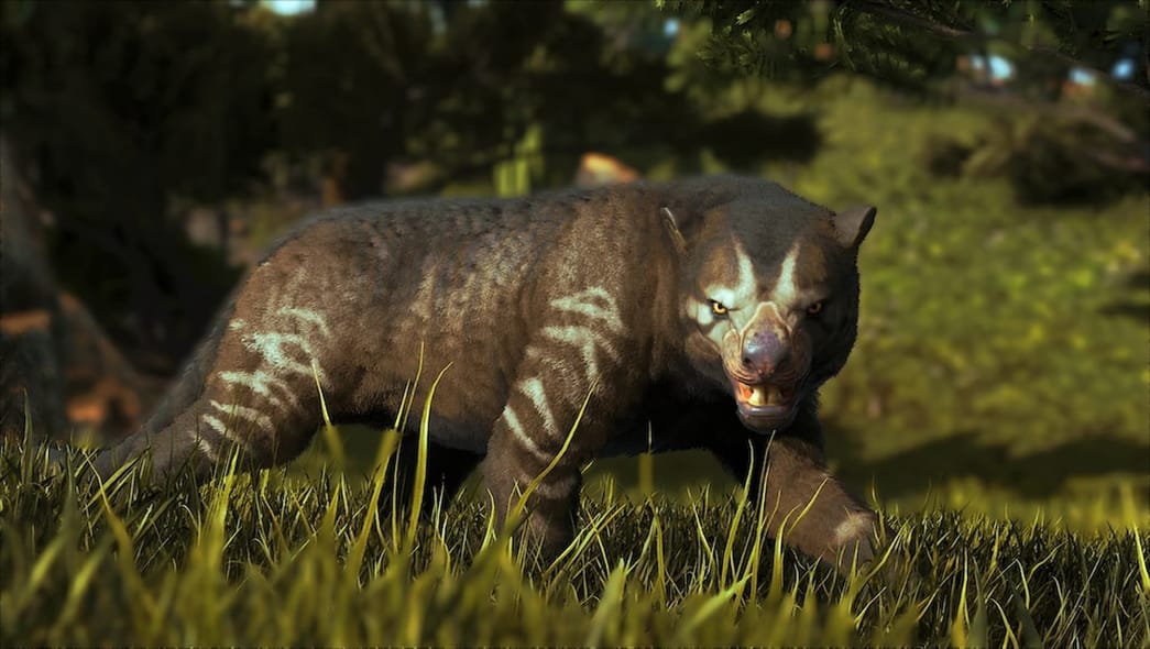 Ark Survival Ascended Thylacoleo taming guide