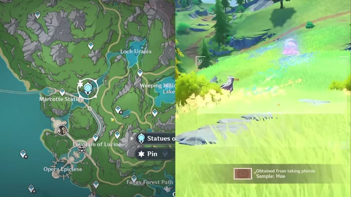 Locations of Basically Blue Wild Creatures in Genshin Impact