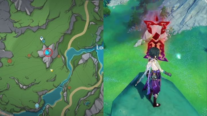 Foggy Forest Branch locations in Genshin Impact