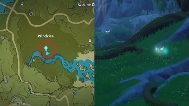 Locations of Legless Wild Non-Fish Creatures in Genshin Impact