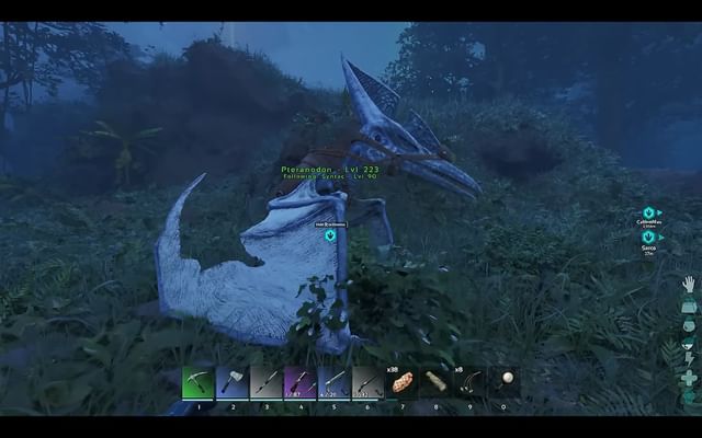 ARK Survival Ascended Pteranodon taming guide