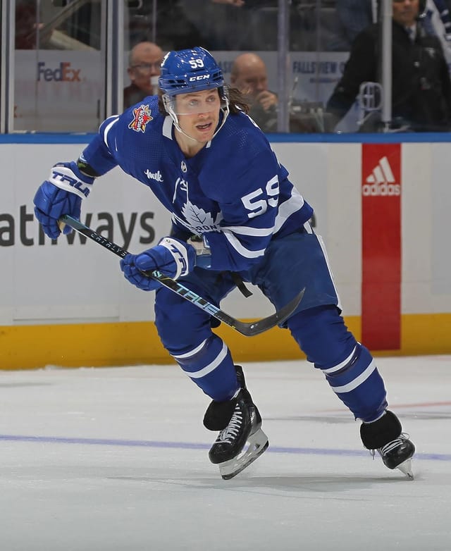 How much is Tyler Bertuzzi Net Worth in 2023?