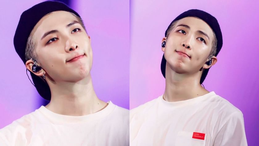 "They're so cute": BTS fans lavish praise on RM's Snake Scales Wool ...