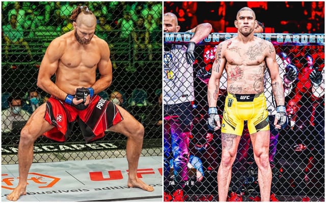 Jiri Prochazka vs. Alex Pereira: Jamahal Hill predicts the outcome of ...