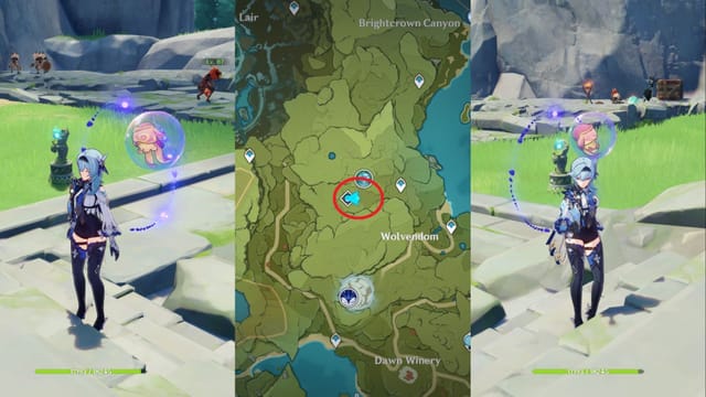 Locations of Staff-Wielding Opponents in Genshin Impact
