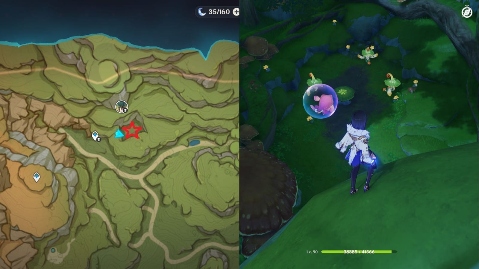 Locations of Opponents with Wing-Like Structure in Genshin Impact