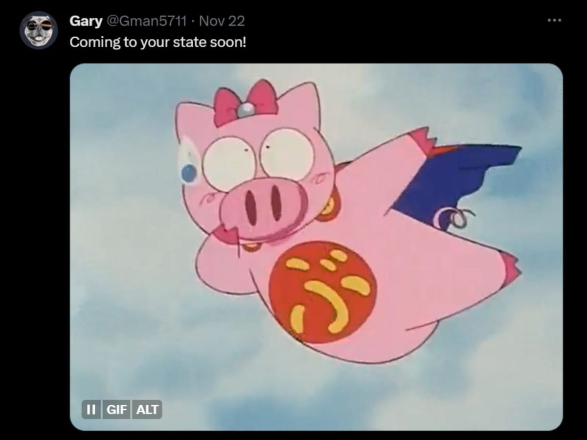 Pigs: "Just make super bacon": Internet reacts as 'Super' wild pigs ...