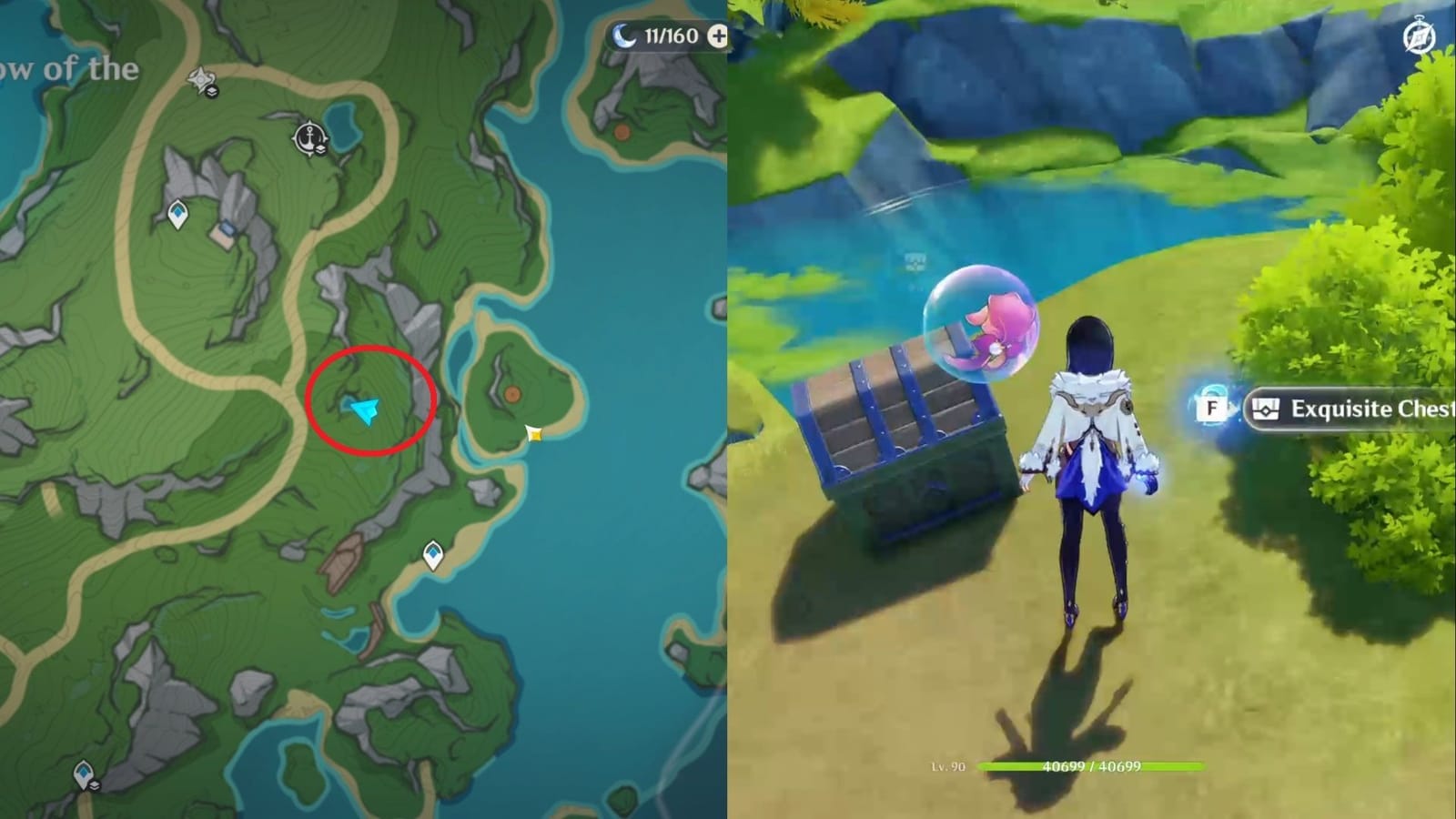 Foggy Forest Branch locations in Genshin Impact