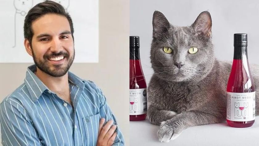 Apollo Peak update: What happened to Brandon Zavala's business after ...