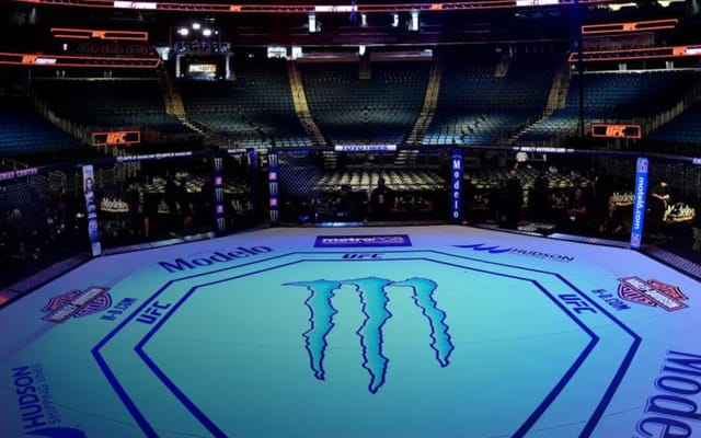 UFC 295: Previously cut lightweight fighter signed to make short-notice ...