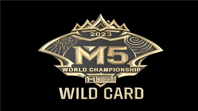 M5 Wild Card: Venue, partners, and more