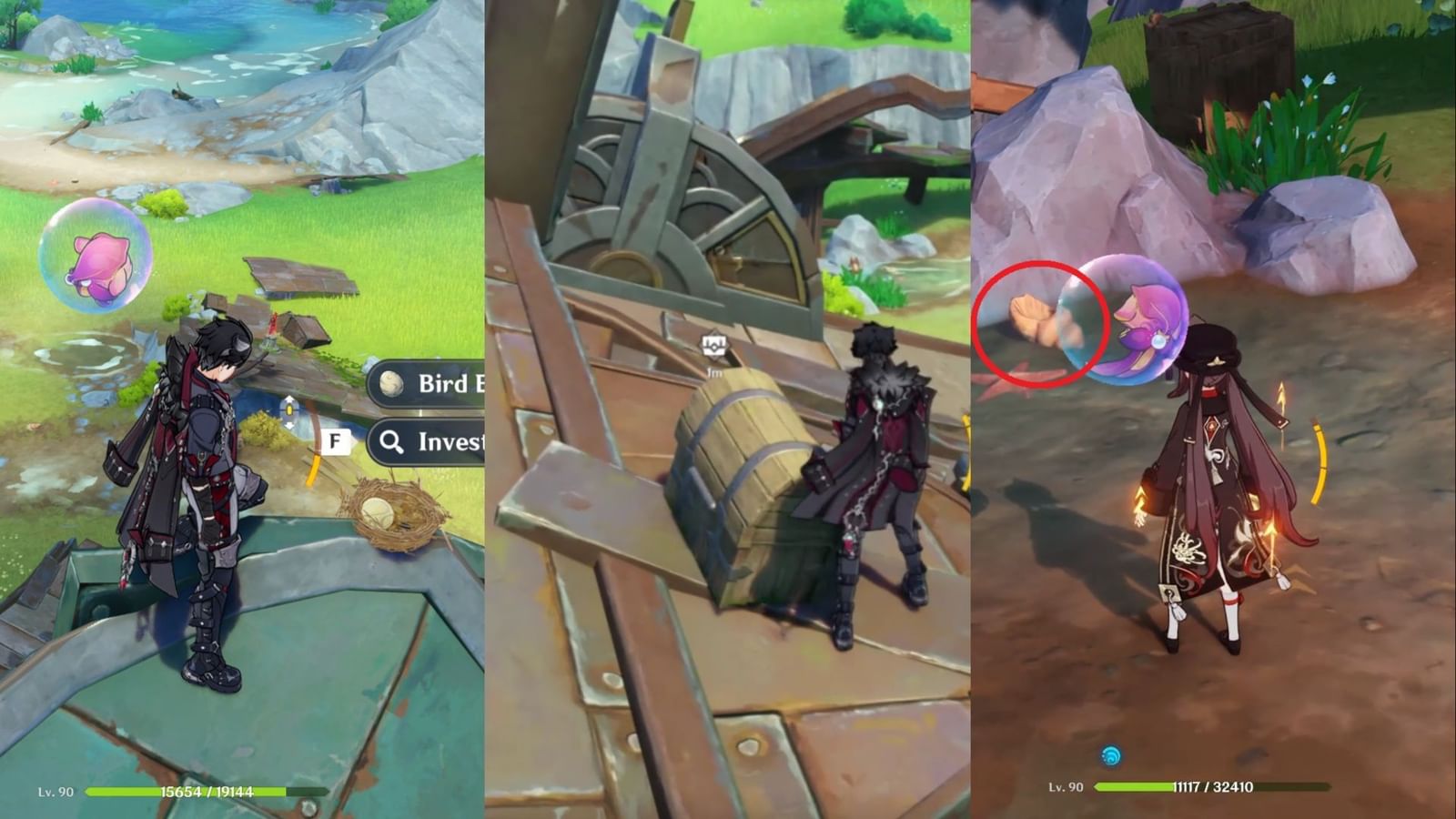 Foggy Forest Branch locations in Genshin Impact